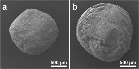Reusable Isotype Heterojunction G C 3 N 4 Alginate Hydrogel Spheres For Photocatalytic