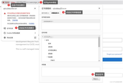 gitlab runner注册与配置 csdn博客