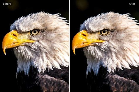 How To Fix Pixelated Image Online With AI LetsEnhance 2025