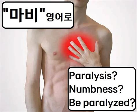 마비 영어로 어떻게 말할까paralysisnumbnessbe Paralyzed 창고세상