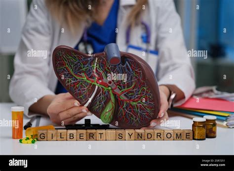 The Gilbert Syndrome And An Elaborate Liver Anatomy Model Are Crucial In Medical Understanding