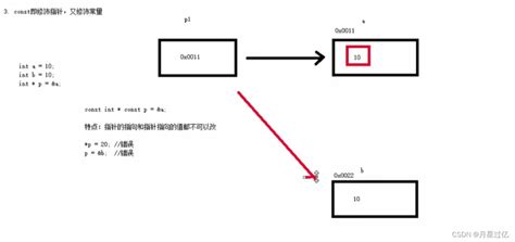 c 中的指针