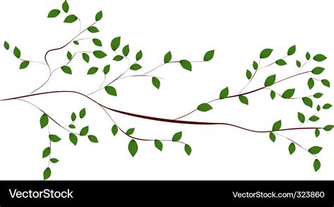 Tree Branch Royalty Free Vector Image VectorStock