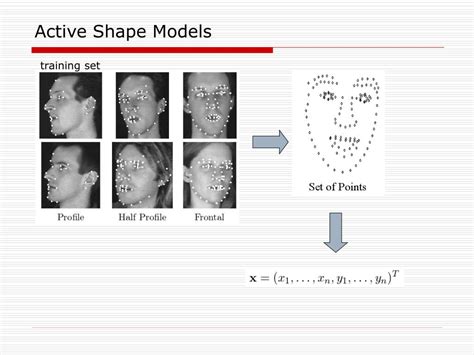 ppt point distribution models active appearance models powerpoint