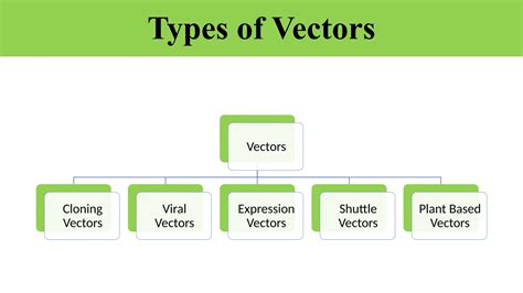 Introduction To Expression Vectorspptx