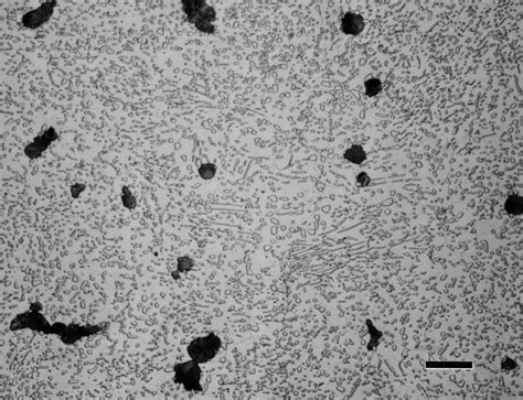 Revealing The Microstructure Of Tool Steels