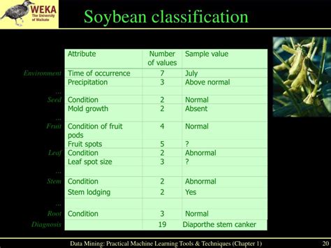 Ppt Data Mining Practical Machine Learning Tools And Techniques Slides For Chapter 1 Of Data