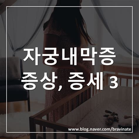 자궁내막증 의미 정의 뜻 원인 증상 증세 경과 예후 진단 검사 월경 통증 네이버 블로그