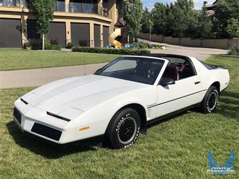 1982 Trans Am Pontiac Firebird Trans Am