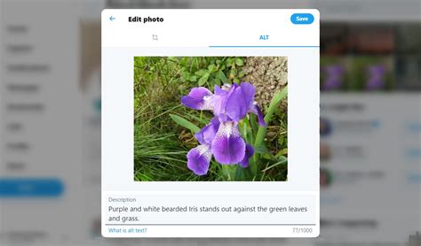 10 Things To Know About Twitters Alternative Text For Images Lireo