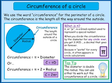 Circumference And Perimeter 5b Mathsccw