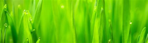 Grass Printed Splashback Genie Splashbacks