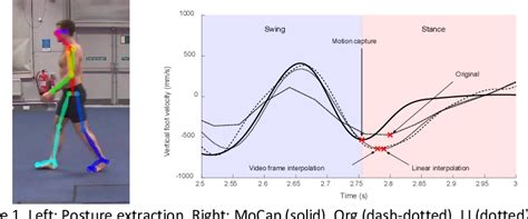 Figure 1 From Application Of Video Interpolation To Markerless Movement Analysis Semantic Scholar