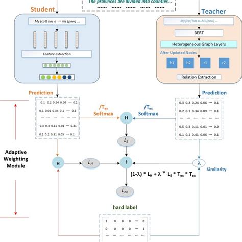 The Architecture Of The Weight Adaptive External Distillation The