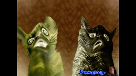 Preview 2 numa cat sad and crying effect - YouTube