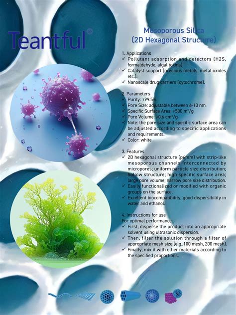 mesoporous silica 2d hexagonal structure starrick li