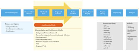 Automated Cell Evaluation For Single Cell RNA Seq Analysis Logos Biosystems
