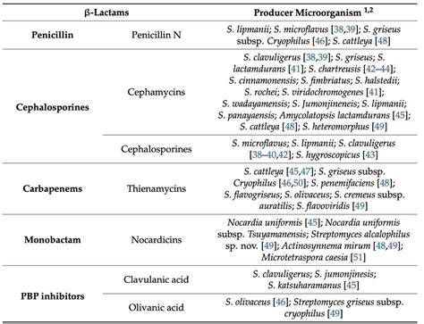 Beta Lactam Antibiotics Boc Sciences