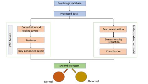 Diagram Of The Ensemble Approach With A Cnn And Feature Extraction For Download Scientific