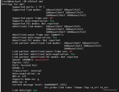 【无标题】ipmitool Raw查询网卡 Csdn博客