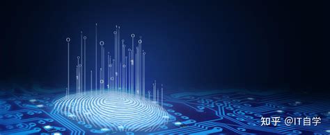 什么是算法，程序员怎么学好算法？ 知乎