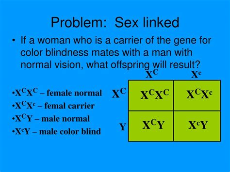 Ppt Karyotyping Sex Linked Traits And Pedigrees Oh My Powerpoint Presentation Id 5871382