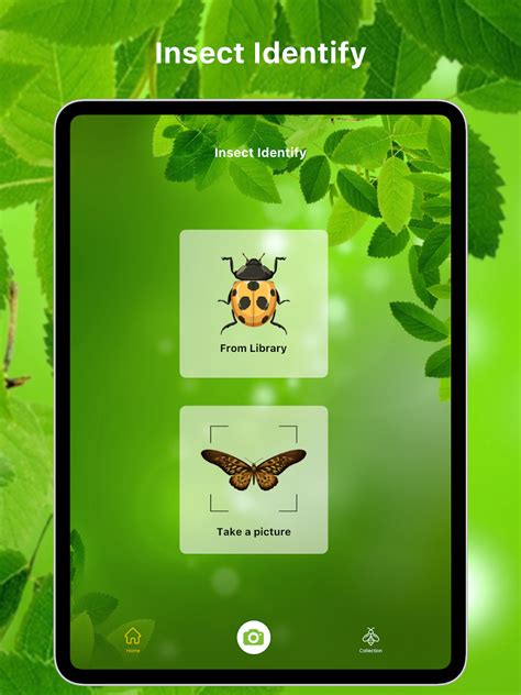 Bug Identifier Insect Identification для Android — Скачать