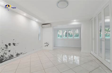 Mould In New Build Property Causes Tips And Solution