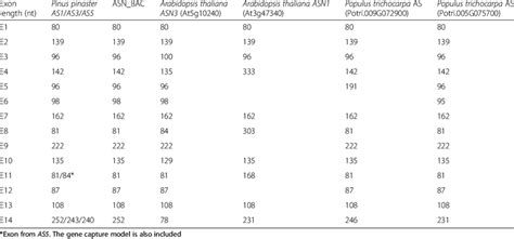 Exon Length Comparisons Among Complete As Genes From P Pinaster And As