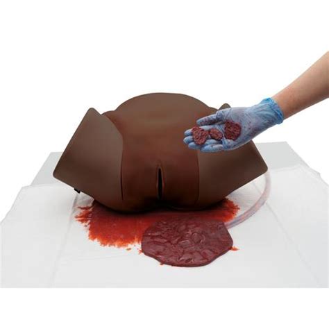 Simulador De Hemorragia Posparto Entrenador Para Hpp P97d Pro Tono De