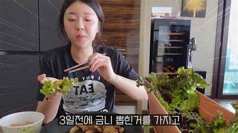 다이어터 폭식 V Log Youtube