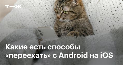 Как перенести данные с Андроида на Айфон все способы