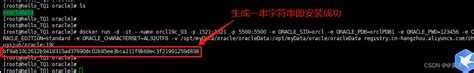 linux下安装docker以及docker安装oracle19c的全部详细过程及各种问题解决 csdn博客