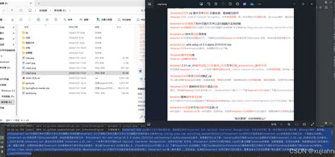 java实现OCR图片识别RapidOcr开源免费支持Windows和linux部署 rapidocr linux CSDN博客