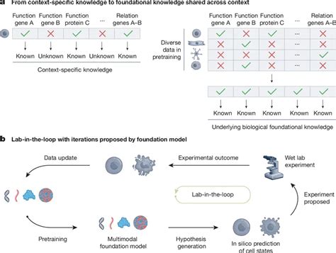 Ai生物学的革命：多模态基础模型如何重塑分子细胞生物学？towards Multimodal Foundation Models In Molecular Csdn博客