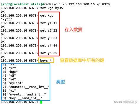 关系型数据库与非关系型数据库、redis数据库redis和关系型数据库 Csdn博客