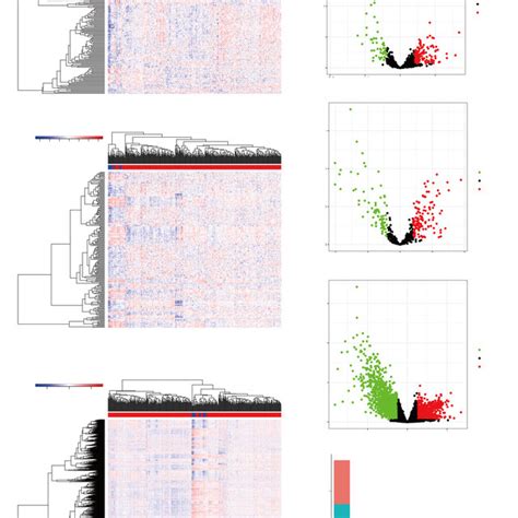Analysis Of Differential Expression Of Long Non Coding Rnas Lncrnas Download Scientific