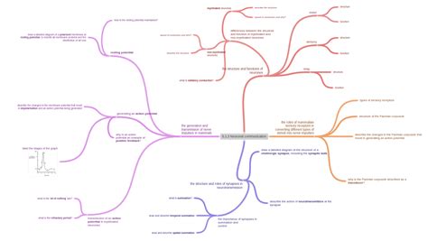 5 1 3 Neuronal Communication Coggle Diagram