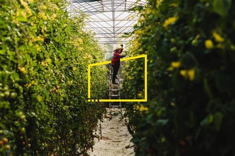 Omar Odeh On Linkedin Ey Carbon Ambition Progress