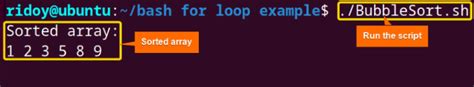 10 Common Bash “for” Loop Examples Basic To Intermediate Linuxsimply