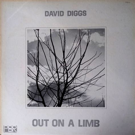 Progressive Music Reviews Back To David Diggs With Out On A Limb From 1976