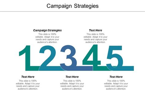 Campaign Strategies Ppt Powerpoint Presentation Styles Portfolio Cpb