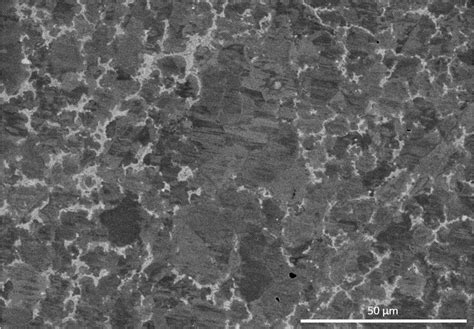 Figure A8 Bse Image Of The As Built Microstructure Laves Phase Are Download Scientific