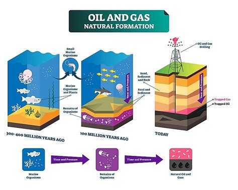 Fossil Fuels What Type Of Energy Sale