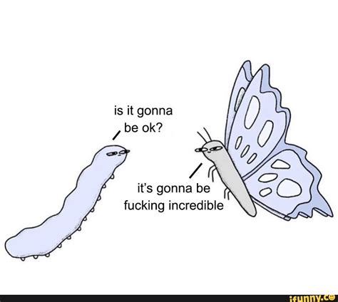 Eggirl Is It Gonna Be Ok It S Gonna Be Fucking Incredible Ifunny