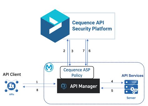 MuleSoft Integration Overview Cequence Security