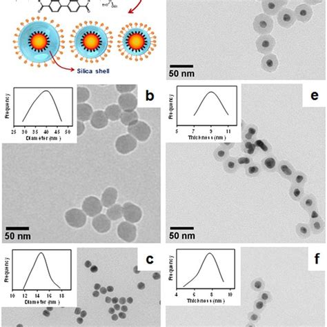 A Gnps Were Stabilized Using A Thiol Terminated Polyethylene