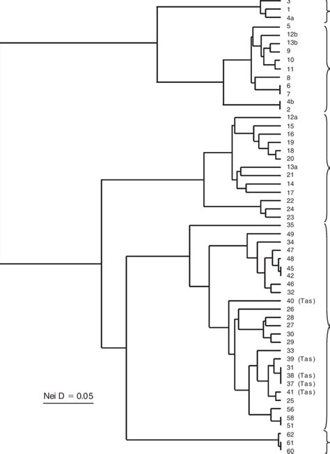 Upgma Dendrogram Depicting Genetic Affinities Among The 55 Otus Present