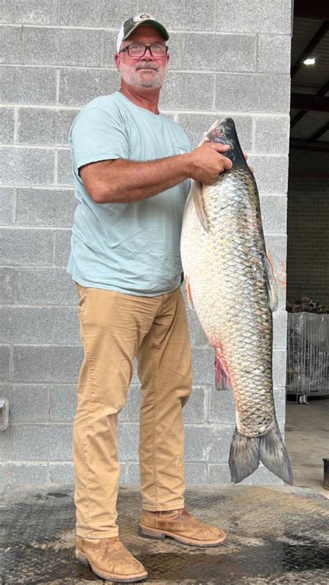 54 Pound Grass Carp Sets Georgia Bowfishing Record Georgia Outdoor News