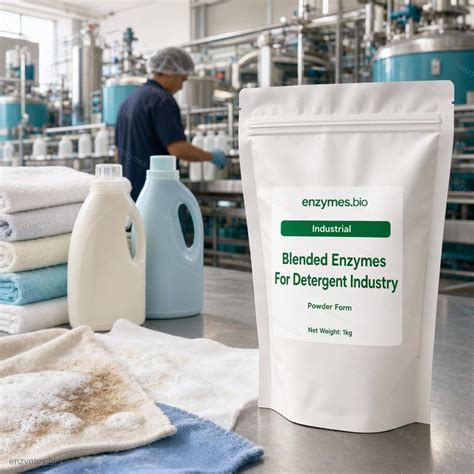 Laundry Enzymes Protease Lipase And Amylase